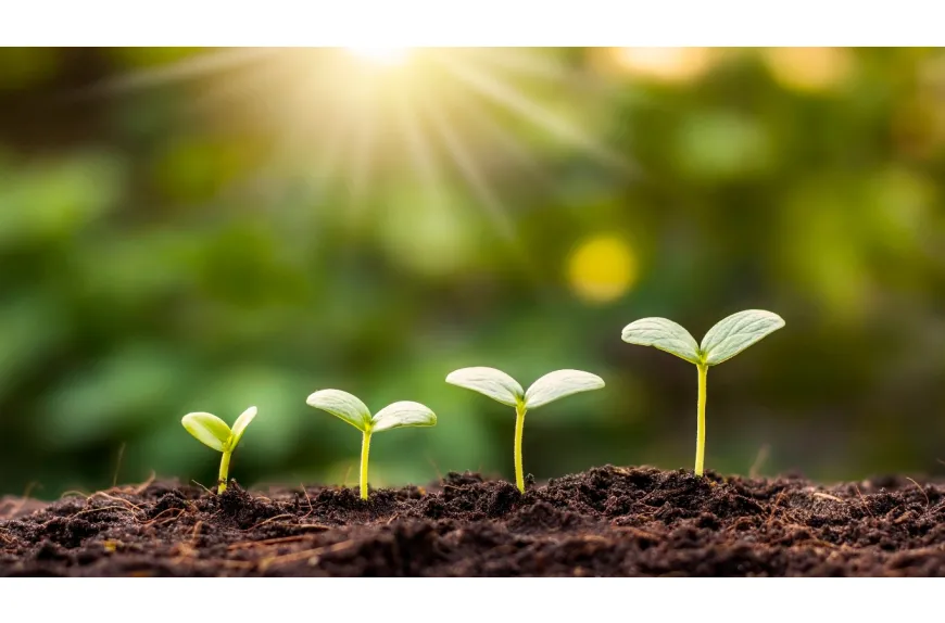 Top Green Stocks for Eco-Friendly Investors | GiveAshare.com