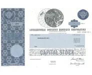 IBM Personalized Replica Stock Certificate